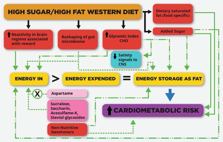 Why are foods with sugar & fat so irresistible? - Dirt to Dinner