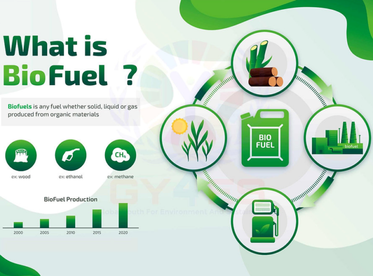 Why are biofuels important? - Dirt to Dinner