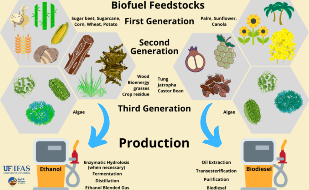 Why are biofuels important? - Dirt to Dinner